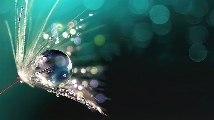 Thoughtful Investing. | Brown Advisory