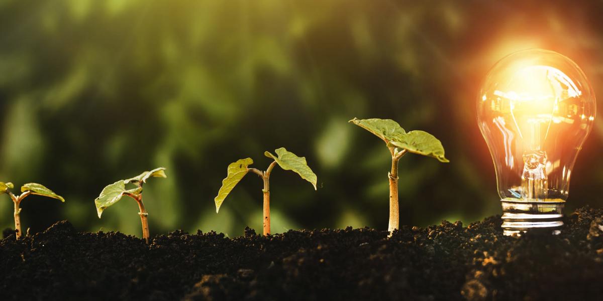 Sustainable Sovereigns: Integrating Sustainable Investment Analysis ...